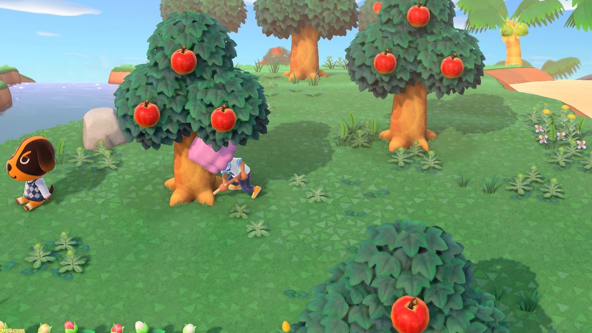 animal_Crossing_new_horizons_tree_digging - myPotatoGames