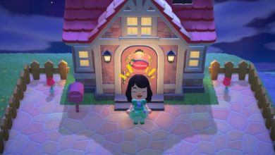 25 Designs That You Can Use For Your Island Flag In Animal Crossing ...